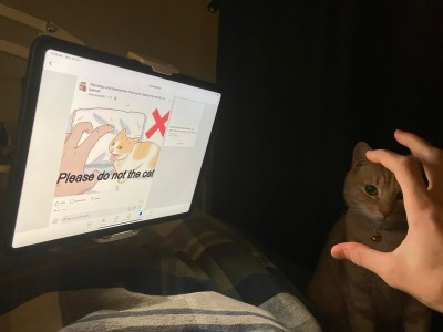 Hmm - The Pizza Bun System - MLP Forums